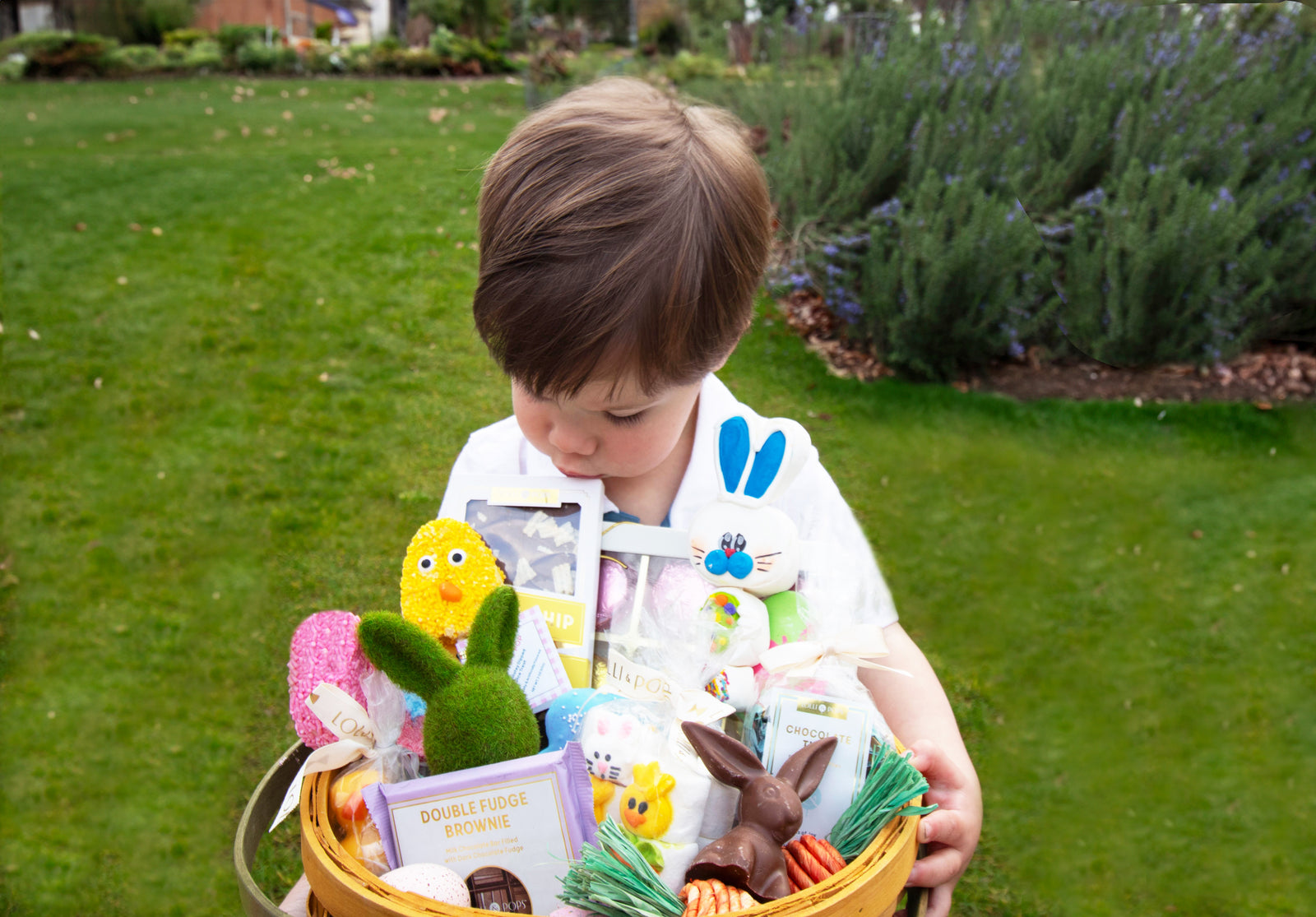 HOP INTO SPRING - Lolli and Pops